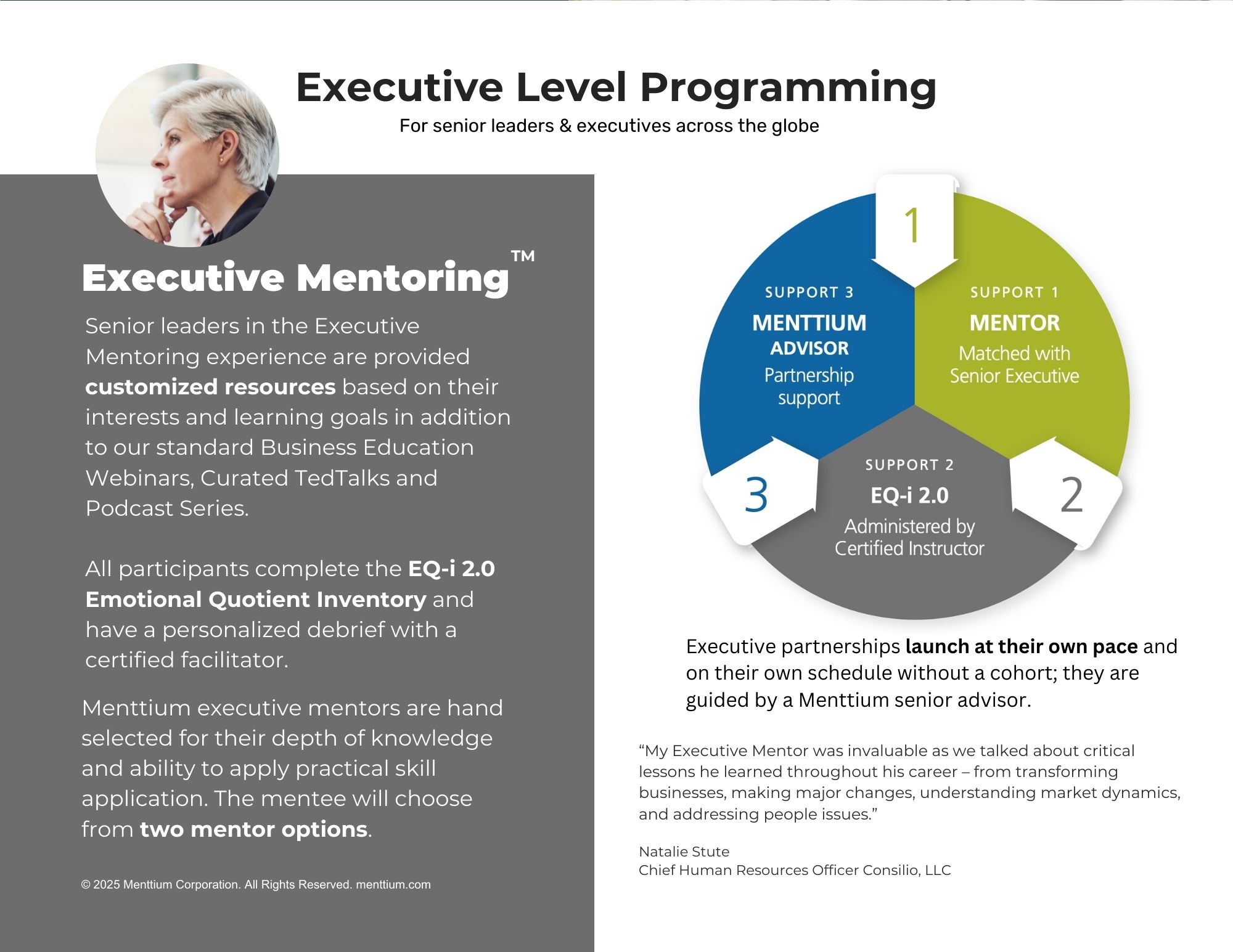 2023 Cross-Company Mentorship Program Options | Menttium